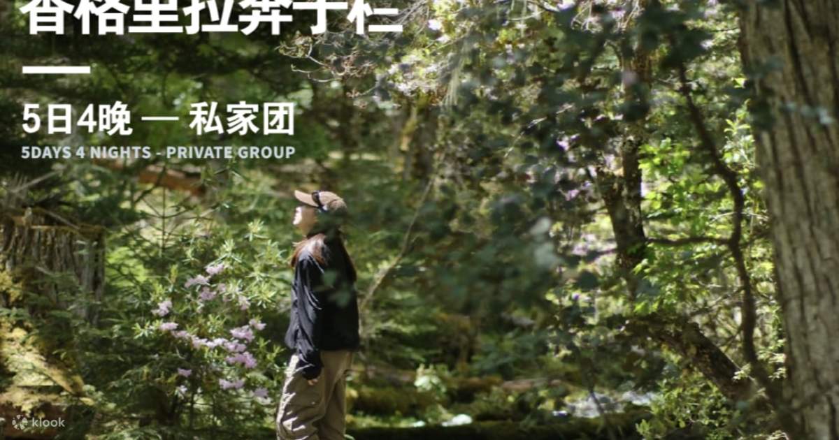 운남 샹그릴라 니딘 숲 5일 송찬린사 니딘 숲 하이킹 또는 백마설산 비밀 하이킹 송잔 · 산 끝 숙박 클룩